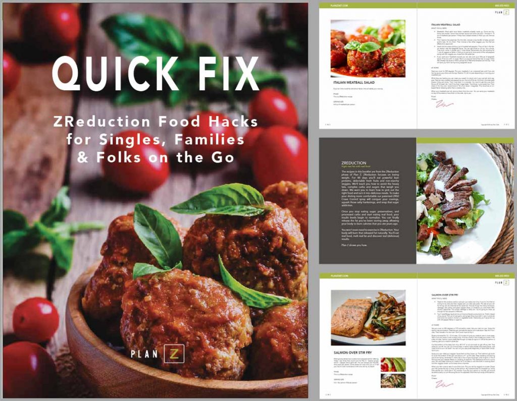 Quick Fix Recipe Booklet – Conquer the Crave – Plan Z Diet