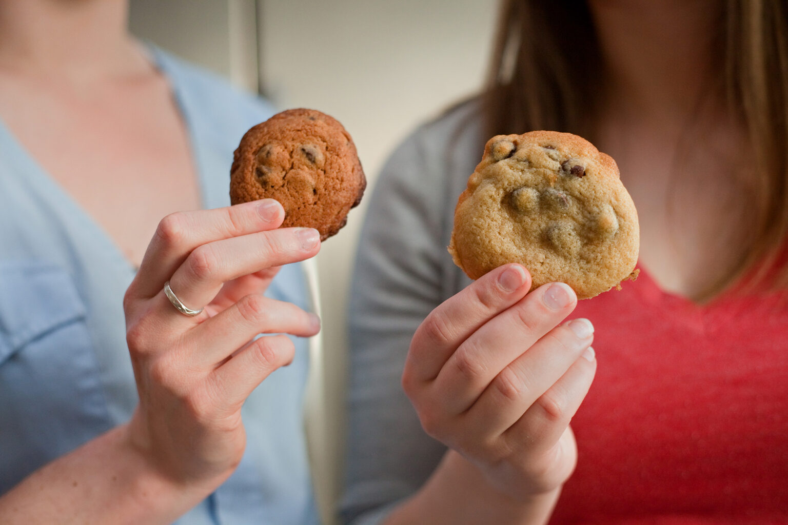 Cookie Mission – Conquer the Crave – Plan Z Diet